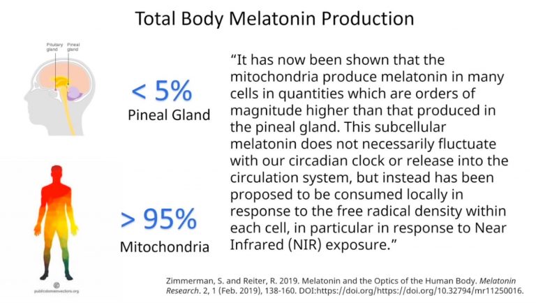 95% of Melatonin is Produced by Sunshine | Dr. Richard Cheng, Cheng ...